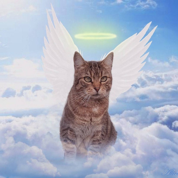 Angel Pet Portrait, Custom Dog Portrait, Digital Portrait, Angel Cat ...