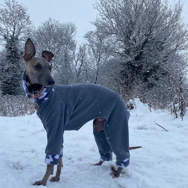 Greyhound Pyjamas, Greyhound Clothing, Greyhound, Dog Pyjamas, Whippet ...