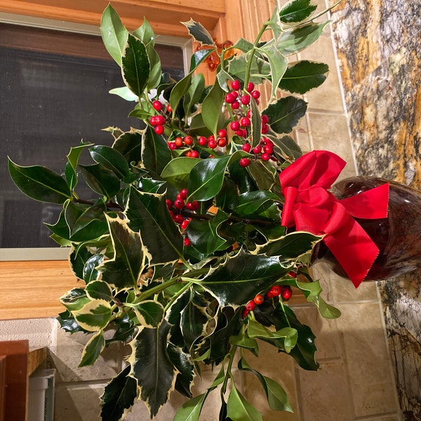 Fresh Evergreen & Holly Swag - Etsy