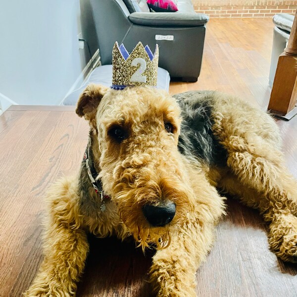 Sterling Silver Elven Key Necklace: Swarovski Crystal Floral Fantasy ...