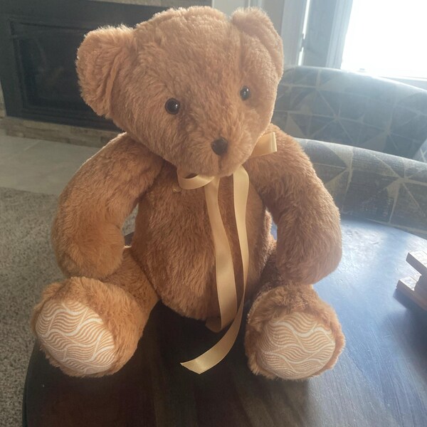 Voice Recording Teddy Bear, Personalized Plush Keepsake Gift, up to 30 ...