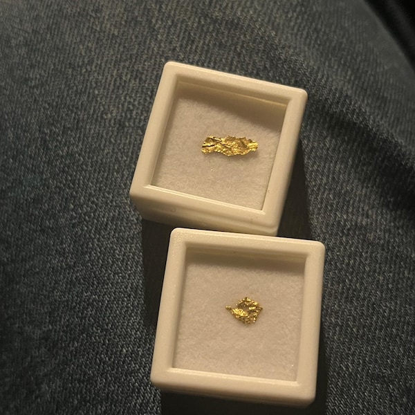 Natural California Gold Nugget / Micro Size 0.823 Grams / Gold Crystal ...