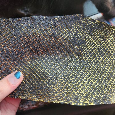 Elaphe Carinata Snake Skin Hide Leather Snakeskin Gunmetal Garment ...