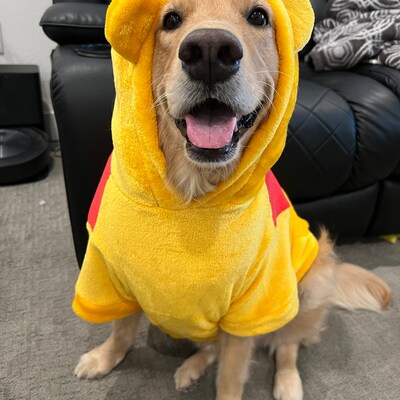 Baja Dog Poncho SIZE 3-mexican Dog Hoodie-mexican Poncho dog - Etsy