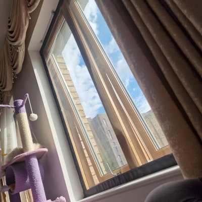 Custom Flat Cats Window Screens Mesh Window Protection for Cats - Etsy