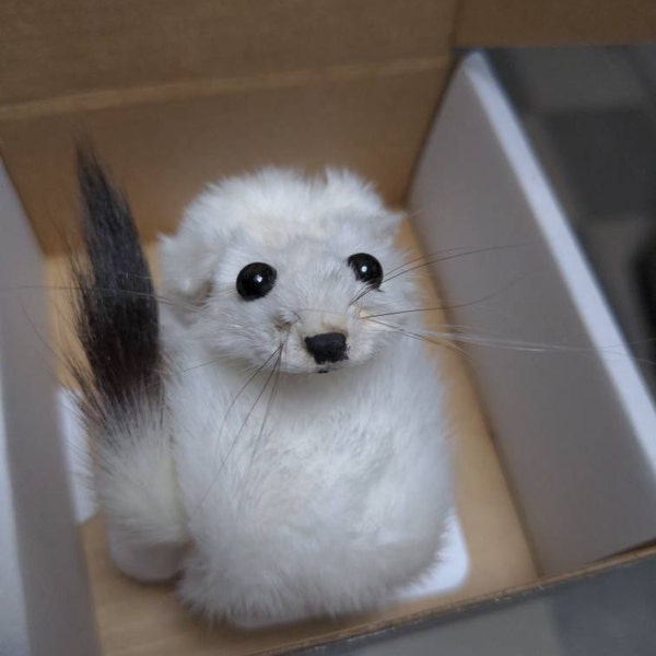 Weasel Slap Bracelet, Sherman the Ermine, White Ermine Slap Bracelet ...
