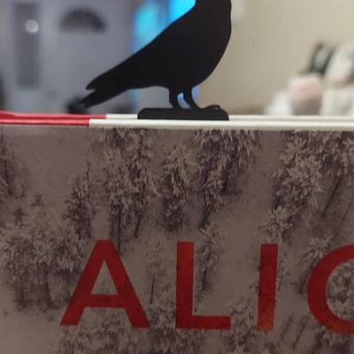 Full Leg and Foot Splint for Chicken or Duck - Etsy