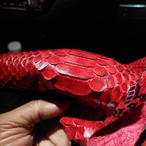 Genuine Python Skin Black Matte, Cognac Glossy Snake Skin, Black Glossy ...