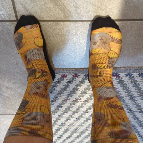 Customized Cat Socks Put Your Cute Cat On Custom Socks Cat Lovers Cat