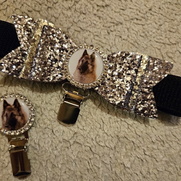 Dog Show Ring Clip Exhibitor Number Holder, Sparkly Bow Design With Pin ...