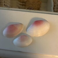 Fish Net Remnants-random Fish Net Pieces-fish Net Cut Pieces-fish Net ...