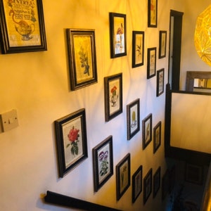 Alice in Wonderland Wall Art Every Adventure Requires a First Step ...