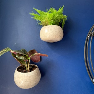 Ceramic Wall Pot Wall Planter for Succulents Air Plant Herbs - Etsy