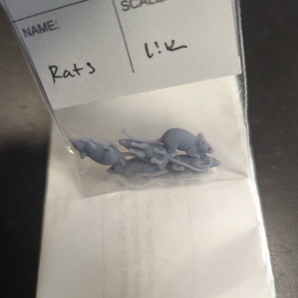 Miniature Rats - 1:12 Scale Miniature Size for Horror Diorama ...