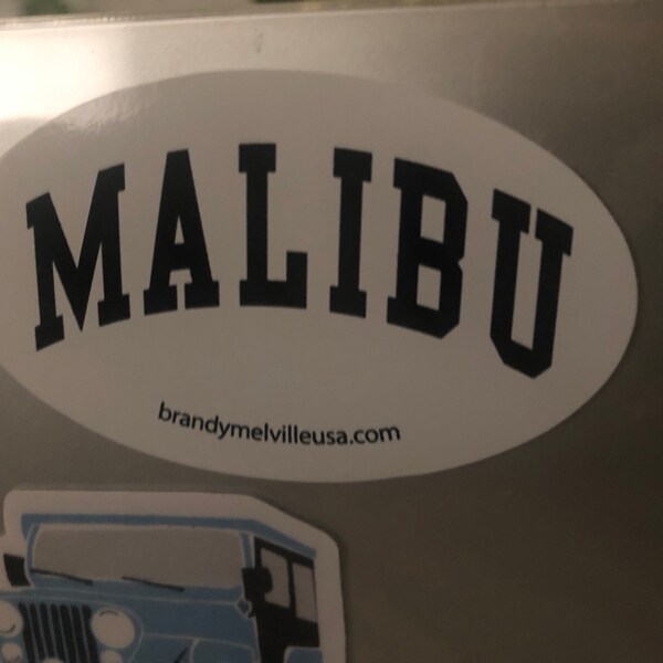 10 Brandy Melville Stickers, Custom Pick or Random - Etsy