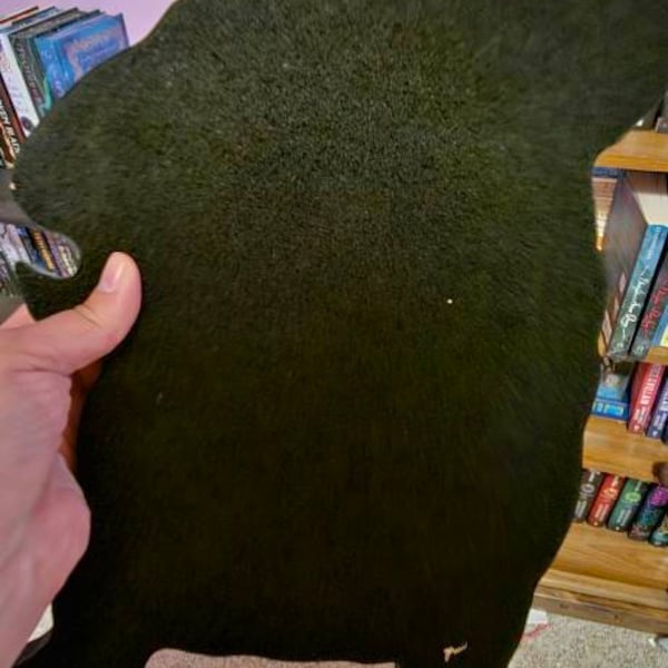 Disney Pluto Pin Display Board, Pinboard - Etsy