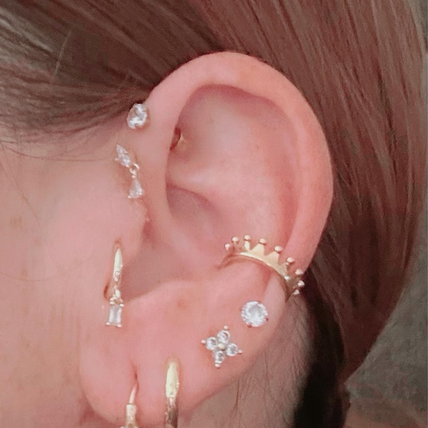 ASTM F136 Titanium Crown Conch Clicker Hoop, 8mm, 10mm, Gold Conch ...