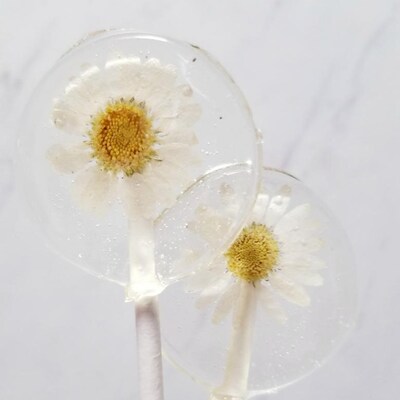 Mini Daisy Pressed Flowers Pack of 25 1/2 7/8 Inch Diameter Yellow ...