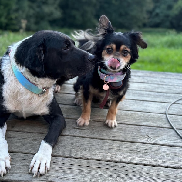 Luxe Blue Sapphire Velvet Key Fob Wristlet Winter Rose Gold, Gold ...