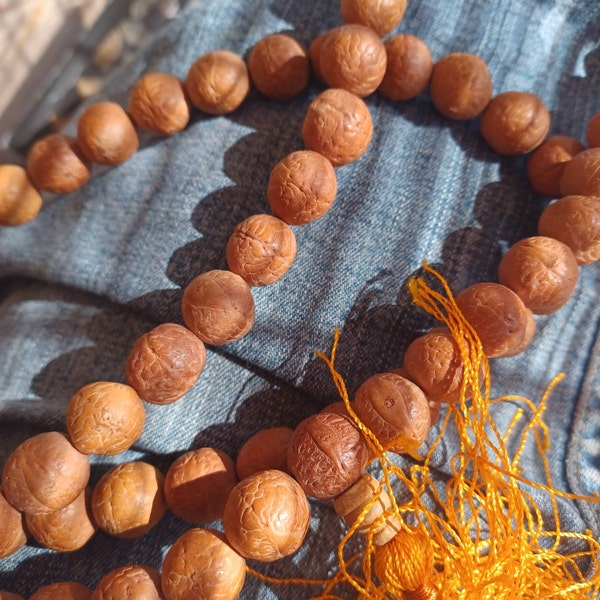 Blowable Large Conch Shell Astamnagala Engraved Buddhist Eight ...