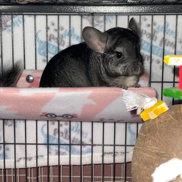 Chinchilla Chinnie Herbal Salad Mix - Red Rose Buds / Leaves, Chamomile ...