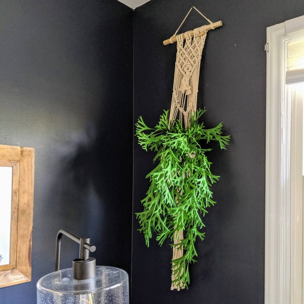 Tall Rustic Fiber Art Arch Jute Wall Hanging, Rope Arch Sculpture, Tall ...