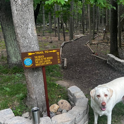 Adirondack Mountain Trail Head Sign - Etsy