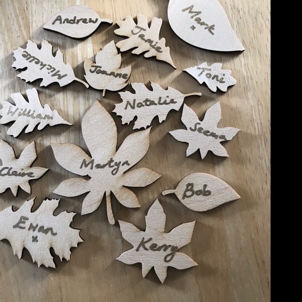 27 Piece Leaf Craft Pack - Etsy