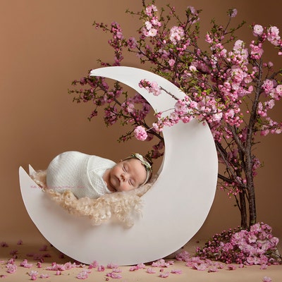 Spring Newborn Backdrop, Newborn Digital Backdrop, Spring Prop, Spring ...