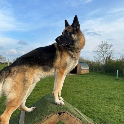 Retro Smiley Face Ornament Funny Face Garden Statue Unique Bust ...