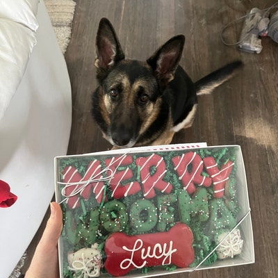 Me Want COOKIE Treat Gift Set/ Cute Dog Treats / Dog Pun Treats / Funny ...