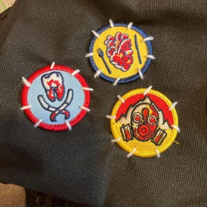 Alternative Scouting for Girls and Boys Merit Badges FULL SET OF 24 - Etsy