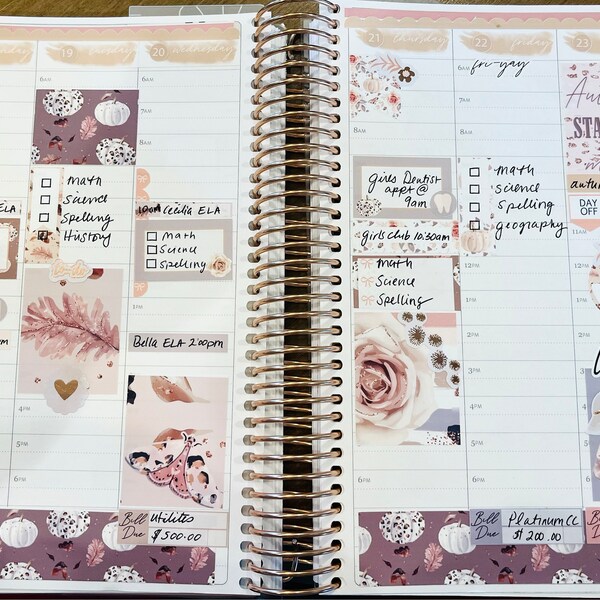 Seashell Summer Printable Planner Stickers, Printable Weekly Stickers ...