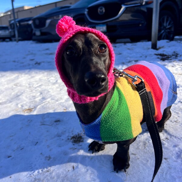 Crochet Dog Hood Pattern - Etsy