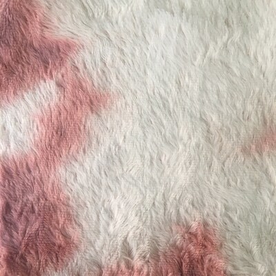 PDF Sewing Pattern for 3.5 4 Inch Cat - Etsy