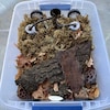 Terra-pod, Slow Wicking Ollas Style Pods for Invertebrate Bins ...