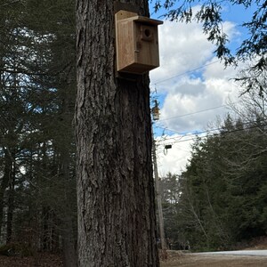 2 Cedar Bluebird Houses-hand Crafted, Rough Cut Cedar - Etsy