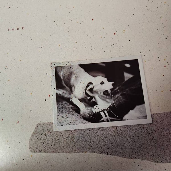 The Fun Boy Three “FB3” Vinyl Record Album 1982 - Etsy