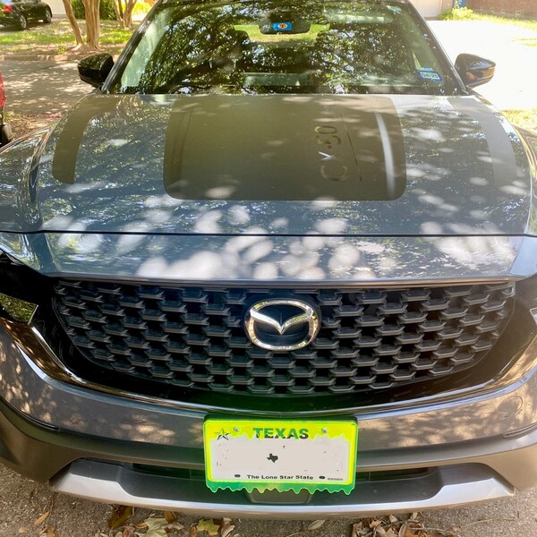 Flame License Plate Frame - Etsy