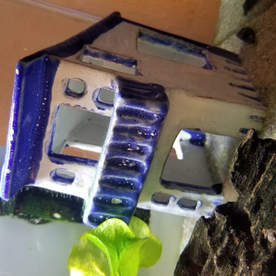 Small Fish Hide Betta Fish Cave Small Aquarium Decor Fish - Etsy