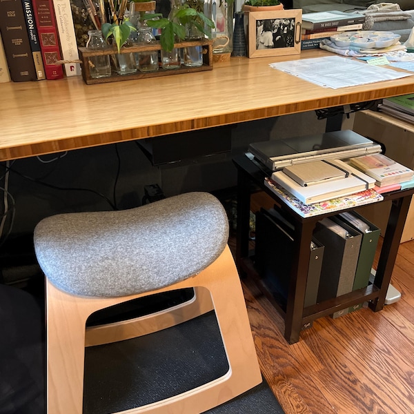 Office Chair, Desk Chair, Desk Stool, Saddle Stool, Saddle Chair ...