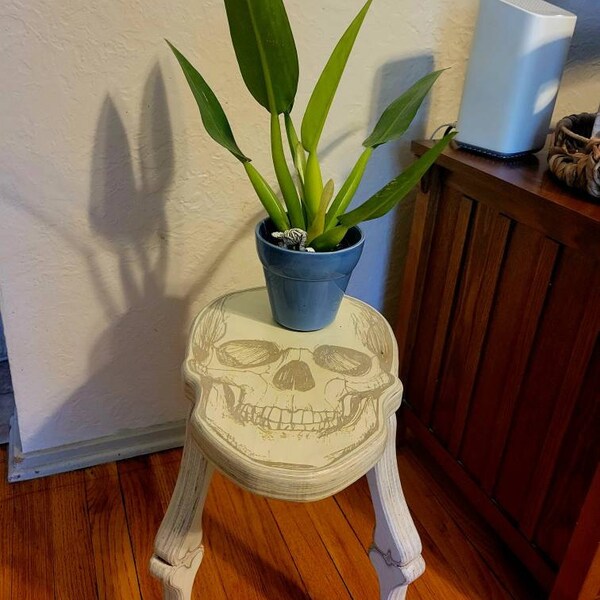 Bone Daddy, Plant Stand, Skull, Skeleton, Bones, Plant Decor, Plant ...
