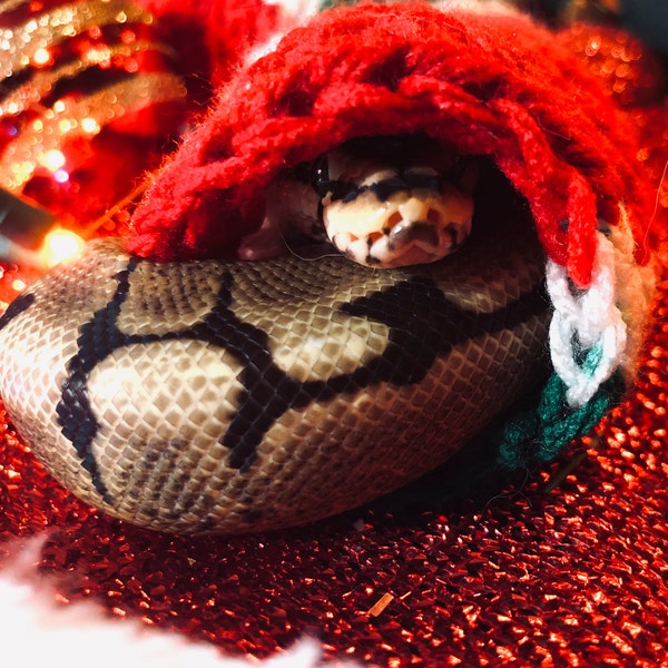 Mistletoe Snake Sweater | Crocheted Snake Sweater | Crocheted Sweater ...