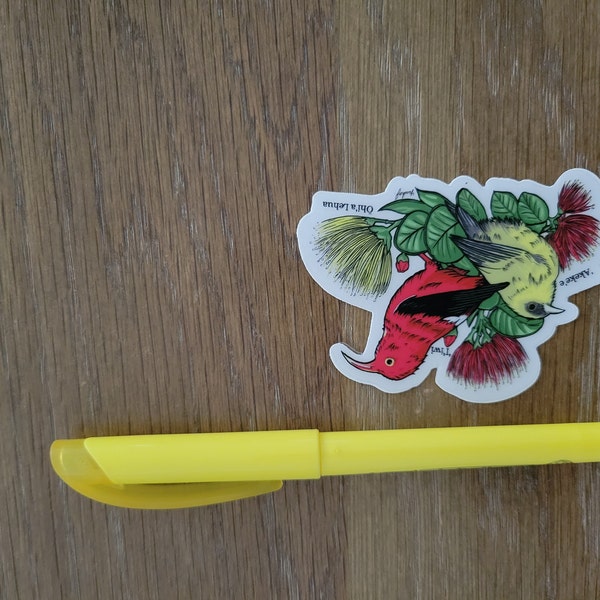 Kawaii Oahu Map Sticker - Hawaii - Etsy