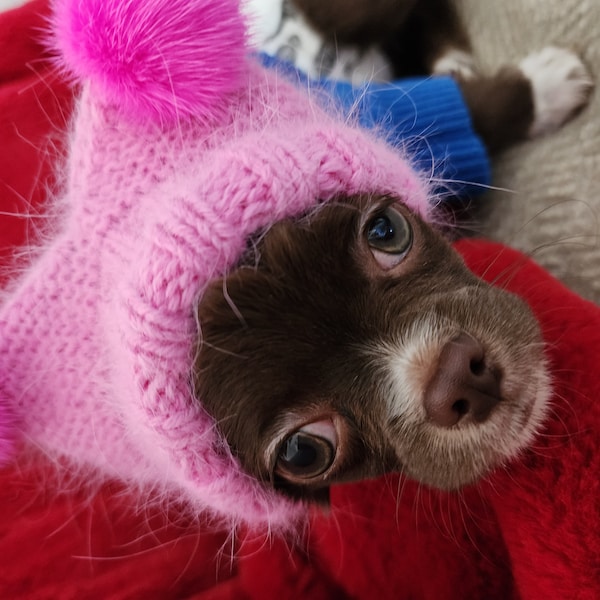 Pink Knitted Dog Hats, Dog Pom Pom Hat, Puppy Hat, Caps for Dogs ...