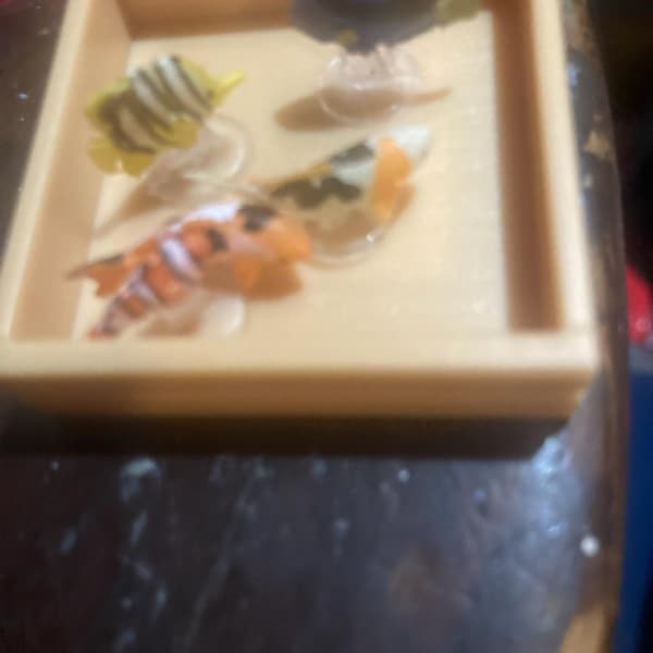 Miniverse Koi Fish Replica - Etsy