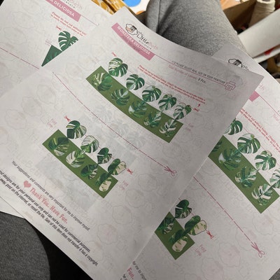 Dollhouse Miniatures Plants Printable 1:12 Scale. 13 Different, Paper ...