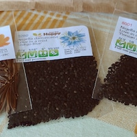 Tumbling Ted SOAPWORT SAPONARIA OCYMOIDES 700 Seeds - Etsy UK