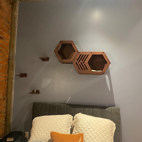 Set Cat House, Hexagon Cat Shelf, Modern Cat Wall Furniture, Hexagonal ...