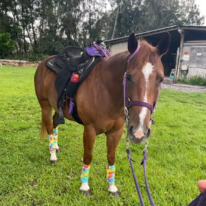 Cheetah Polo Wraps Horse Polo Wraps Black Polo Wraps Set of - Etsy